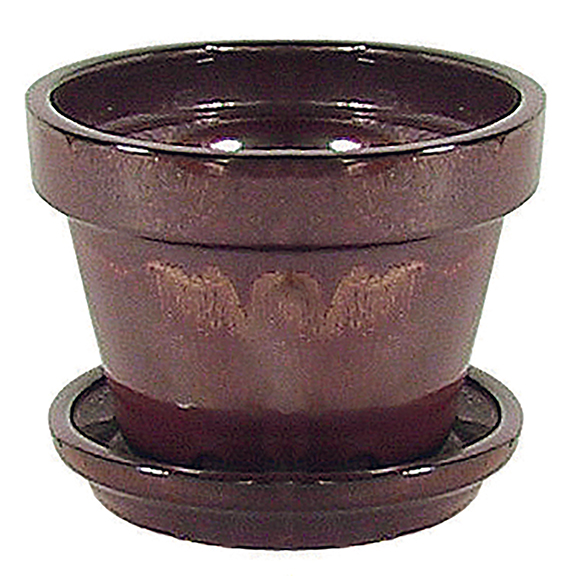 Product - Standard Pot, 6.75" x 5.5", Tropical Red | Standard Pot with ...