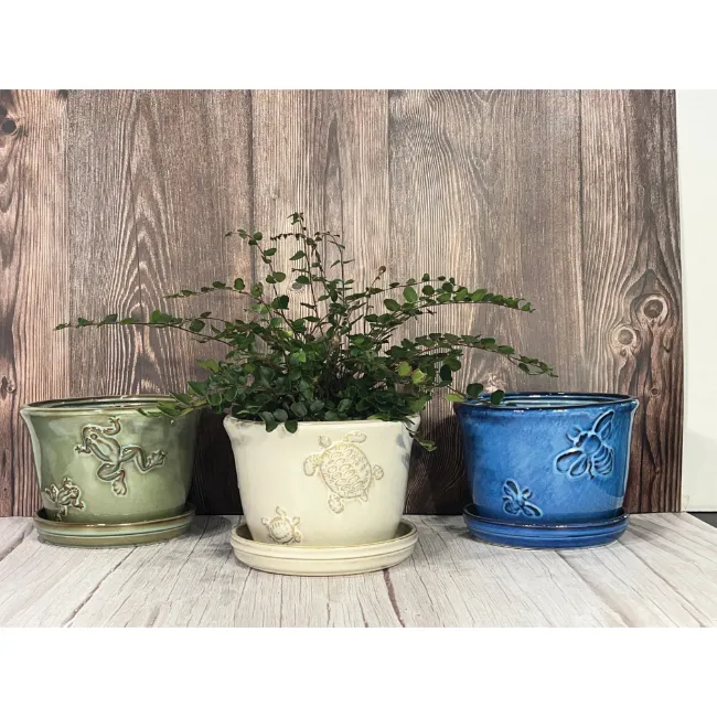 Product - Nature Pot, 5.5" x 4.75", Assorted | 5.5" x 4.75" Nature Pot ...