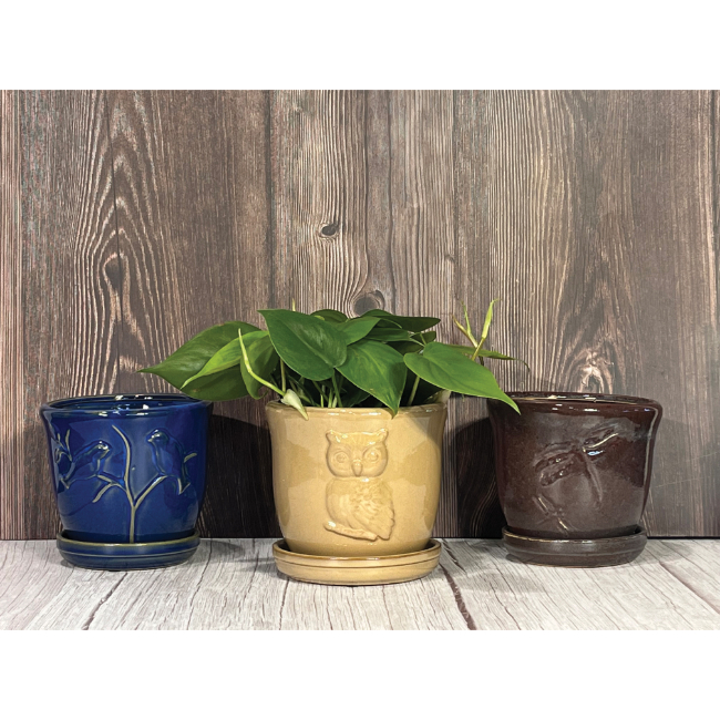 Product - Nature Pot, 8" x 6", Assorted | 8" x 6" Nature Pot with ...