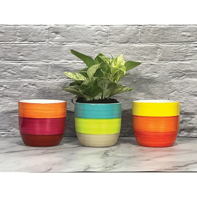 Product - Bright Stripes Cup Pot, 5.5" x 5", Assorted | Bright Stripes ...
