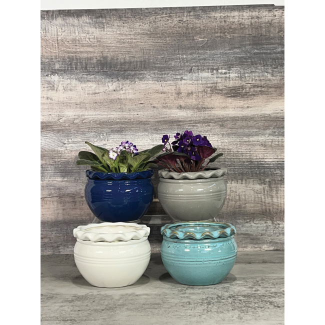 Product - Round Pie Rim Self-Watering Pot, 6.25" x 4.5", Assorted ...