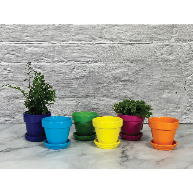 Product - Mini Standard Pot, 2.75" x 2.5", Assorted Brights | Mini ...