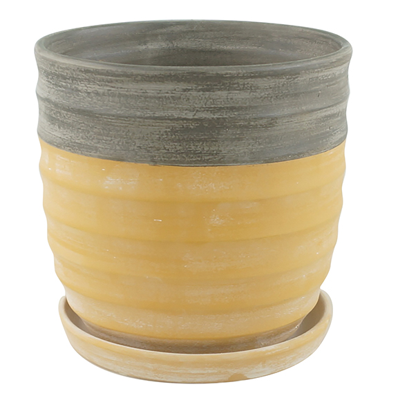 Product - Sylvan Planter, 6.75" x 7", Honey | Sylvan Planter with ...