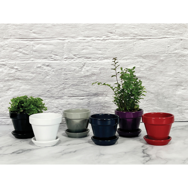 Product - Mini Standard Pot, 2.75" x 2.5", Assorted Neutrals | Mini ...