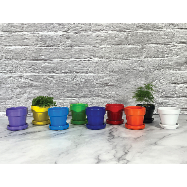 Product - Mini Standard Pot, 3" x 2.75", Assorted | Mini Standard Pot ...