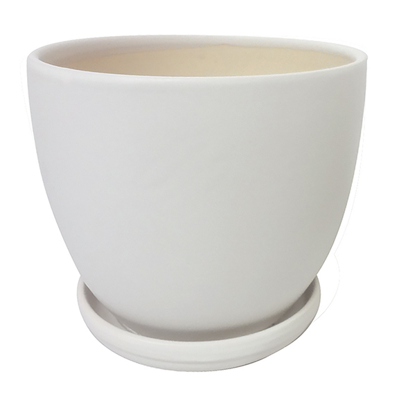 Product - Egg Pot, 5.5" x 5.25", Matte White | Egg Pot with Attached ...