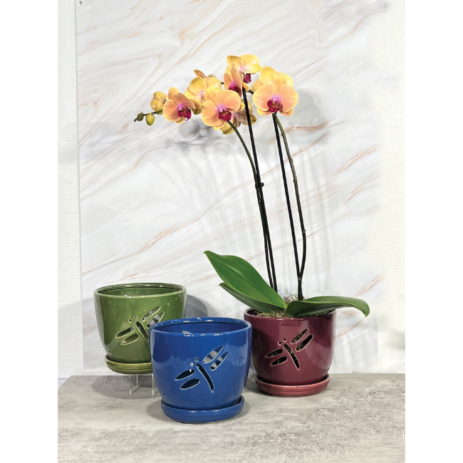 Product - Dragonfly Orchid Pot, 7.25" x 6", Dark Colors Assorted ...