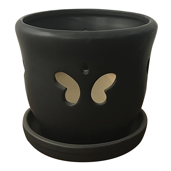 Product - Butterfly Orchid Pot, 5.5" x 5.25", Assorted | Butterfly ...