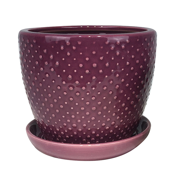 Product - Classic Dot Planter, 8" x 7", Iris | Classic Dot Planter with ...