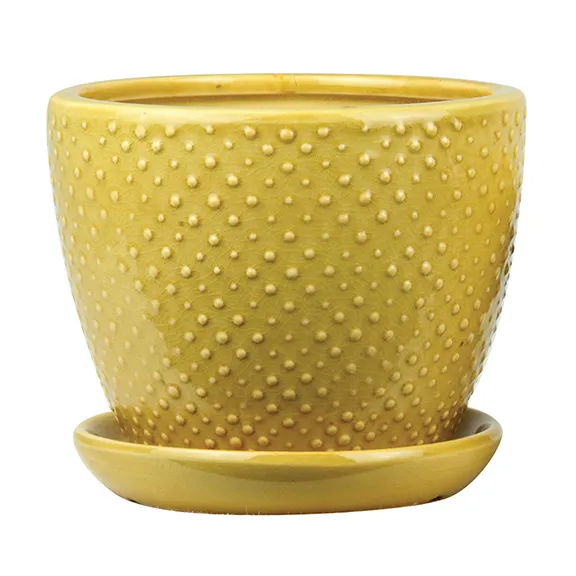 Product - Classic Dot Planter, 6" x 5", Marigold | Classic Dot Planter ...