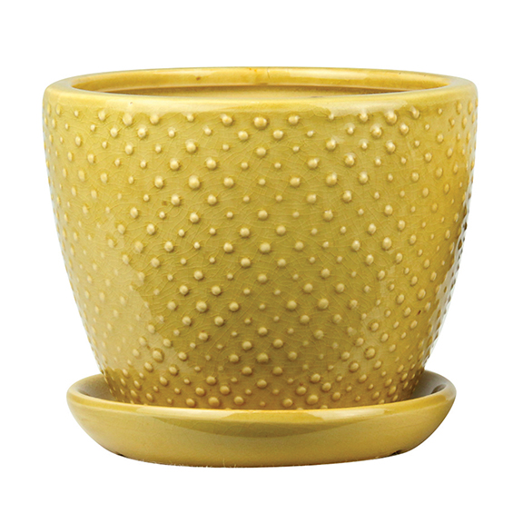 Product - Classic Dot Planter, 8" x 7", Marigold | Classic Dot Planter ...