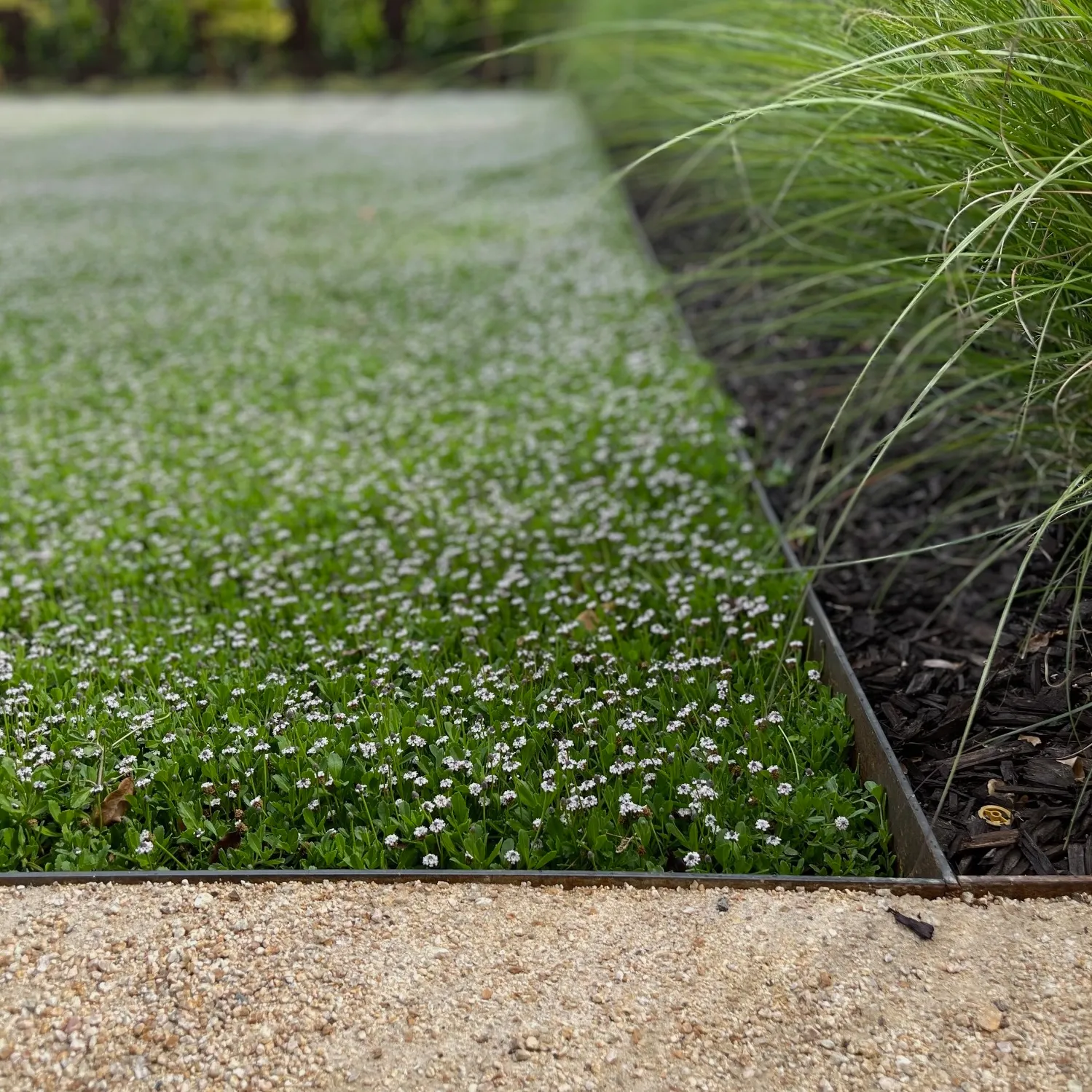 Product - Border Guard Steel Edging, Black | Border Guard Steel Edging ...