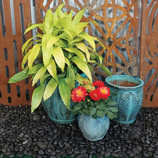 Product - Leaf Assortment | Leaf Assortment, Sets of 3: 9.5"; 13"; 16.5 ...