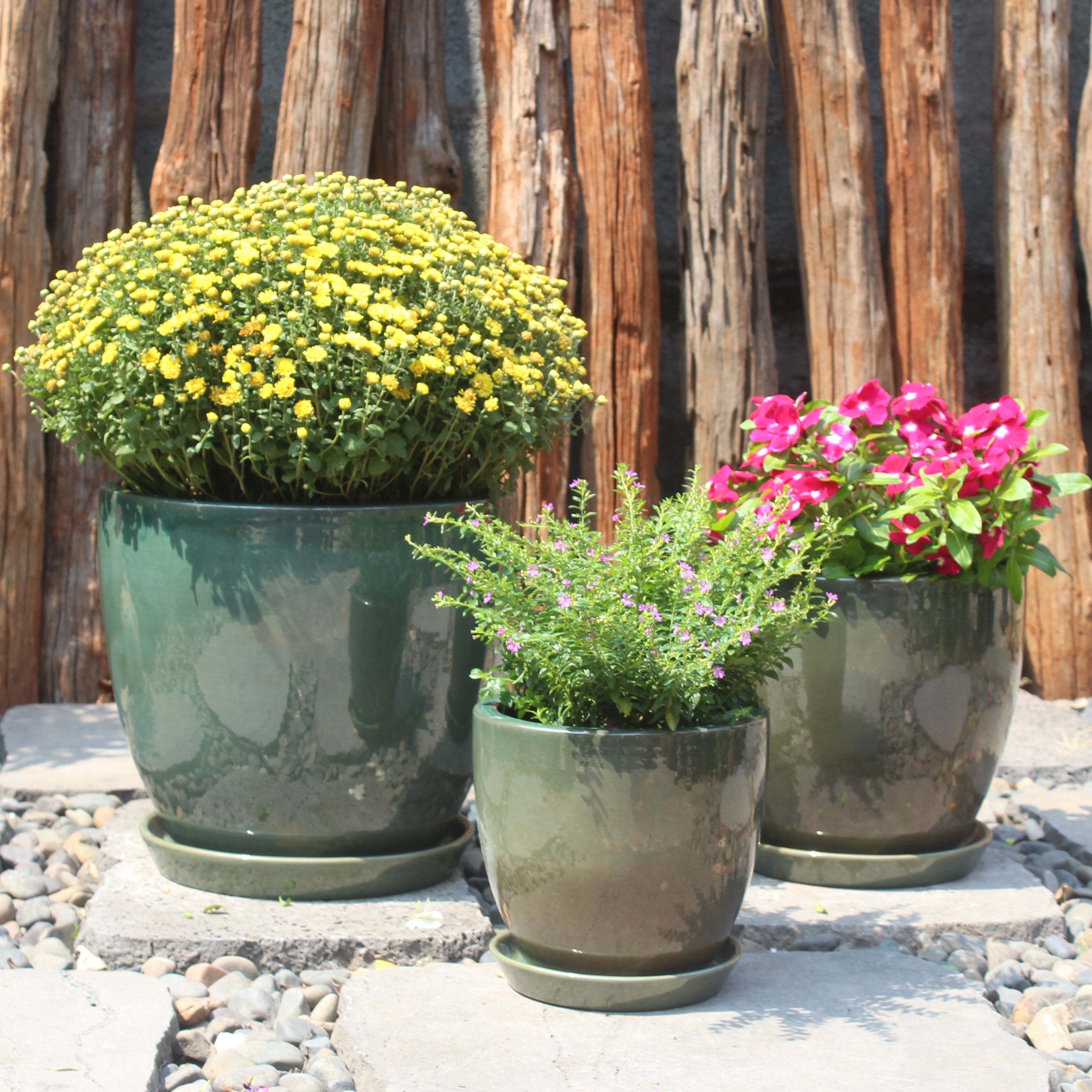 Product - Calliope Assortment | Calliope Assortment: Calliope Planter ...