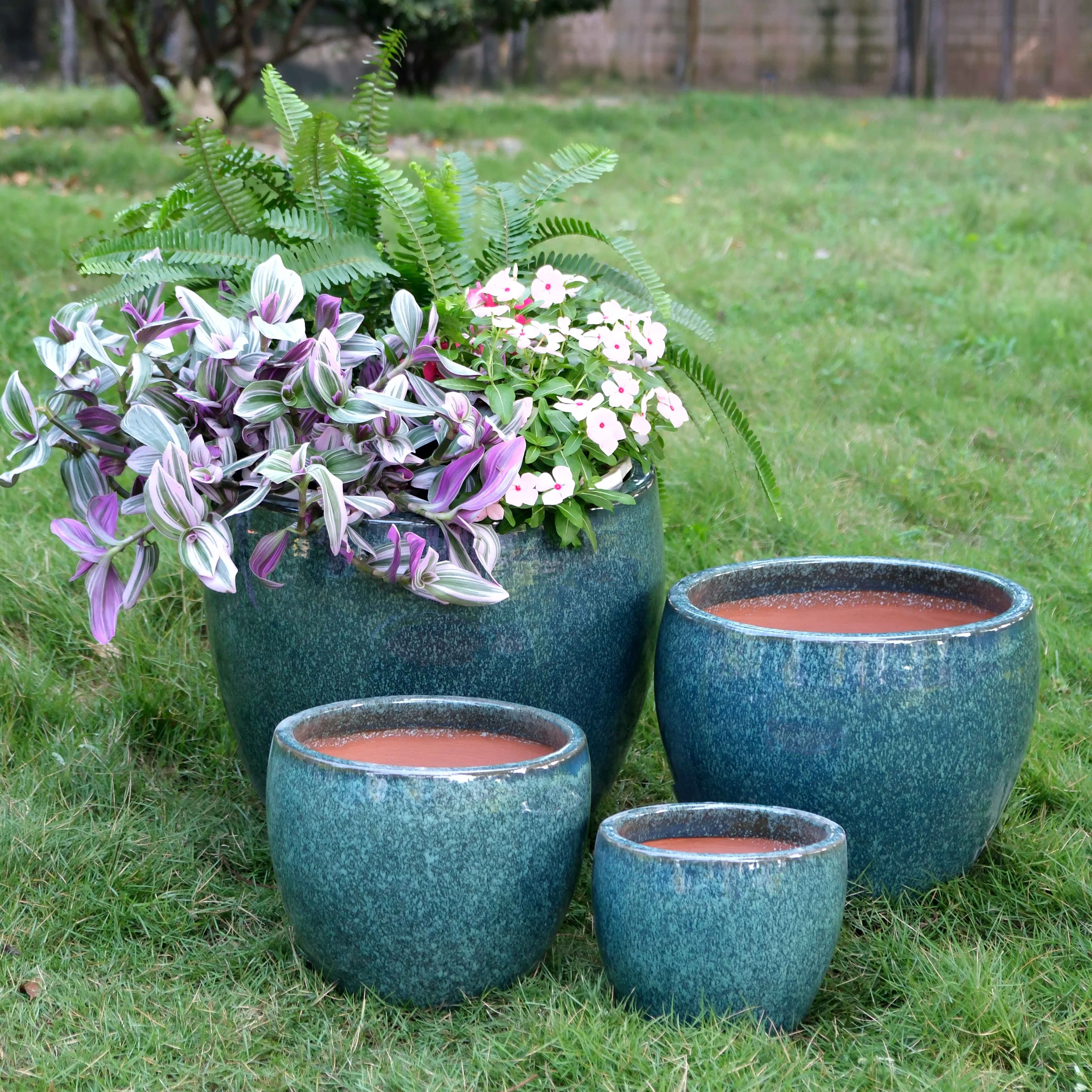 Product - Emerald Forest Assortment | Emerald Forest Assortment ...