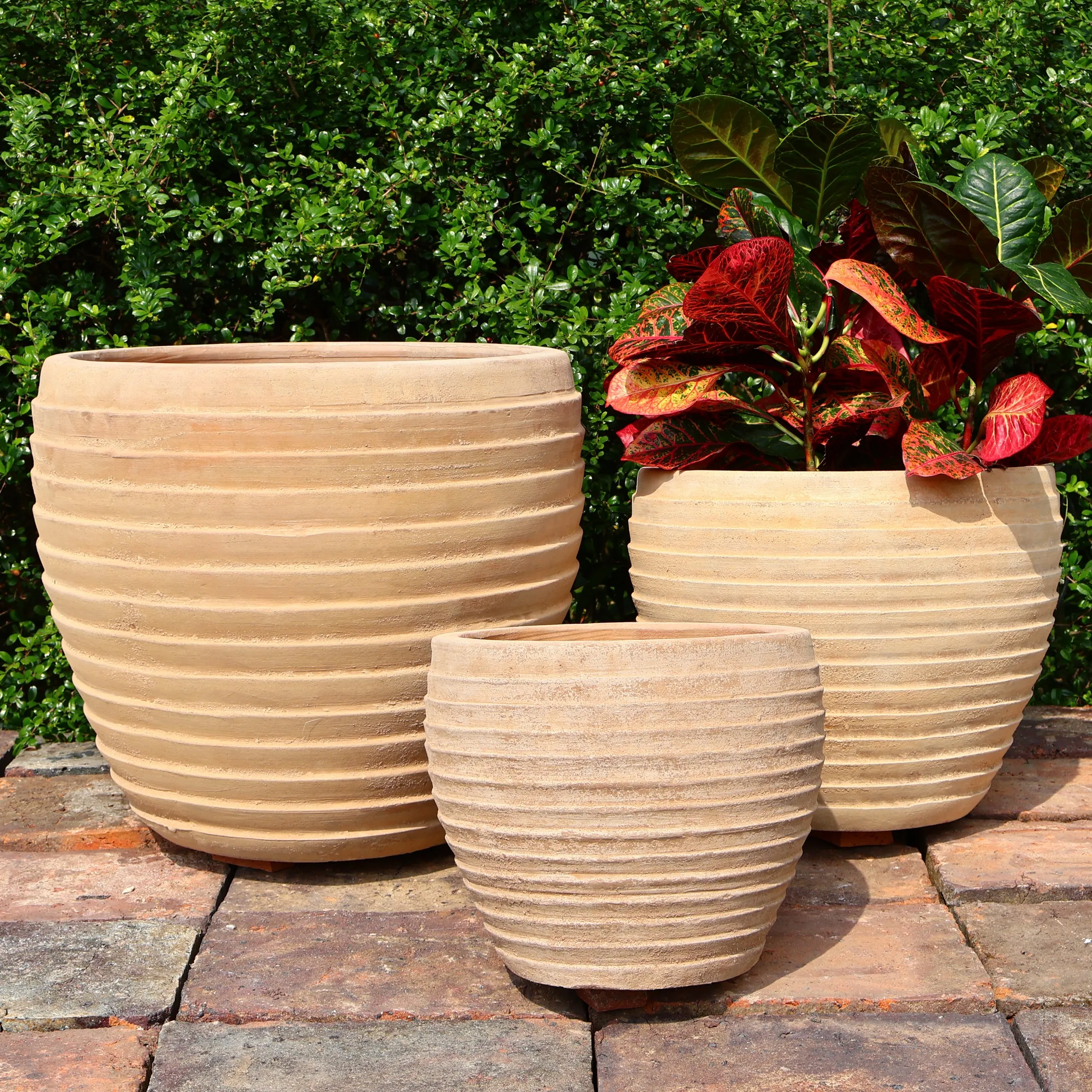 Product - Semisi Assortment | Semisi Assortment: Elei Planter, Set of 3 ...