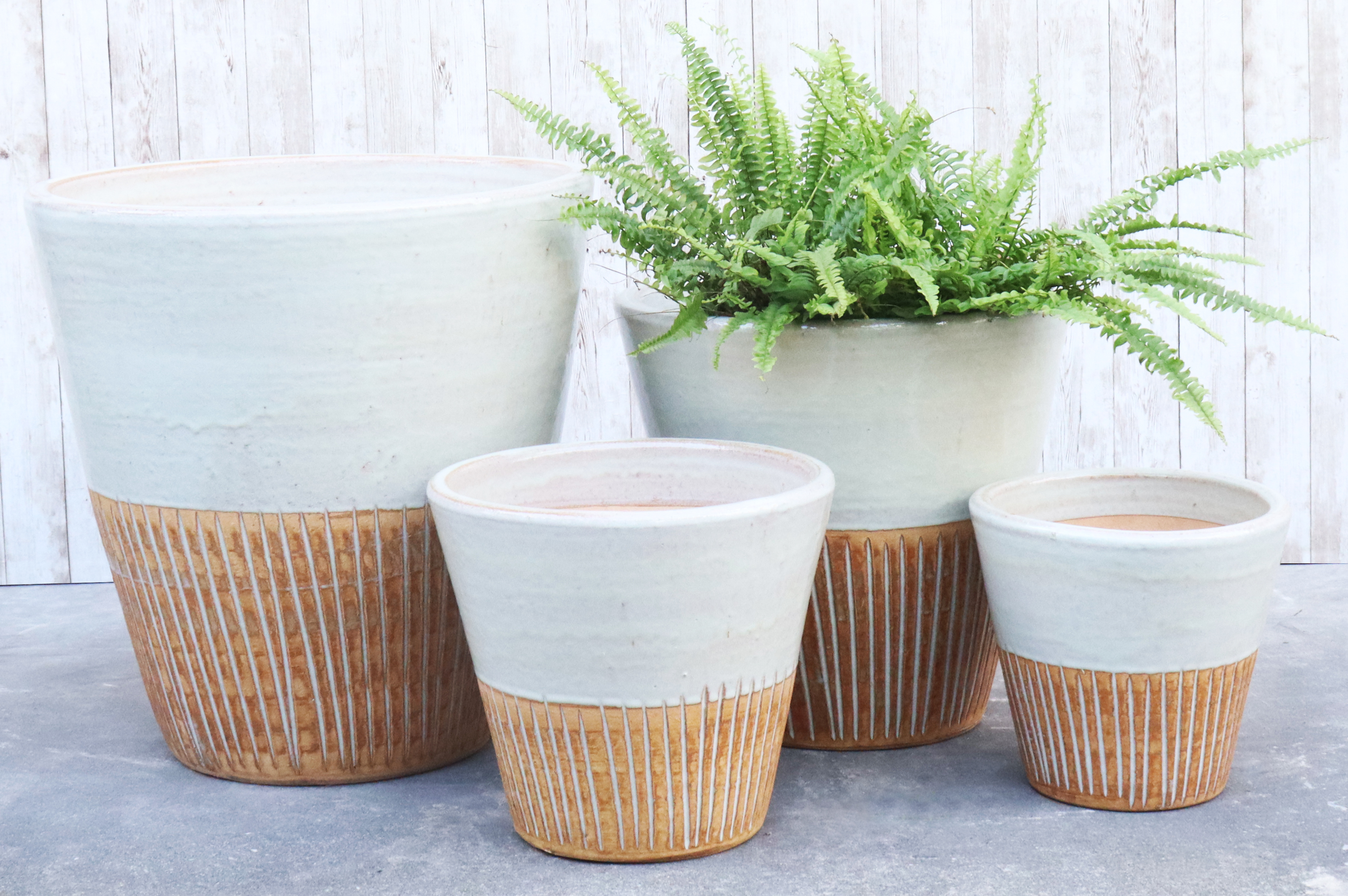 Product - Haileycomb Assortment | Haileycomb Assortment: Haileycomb ...
